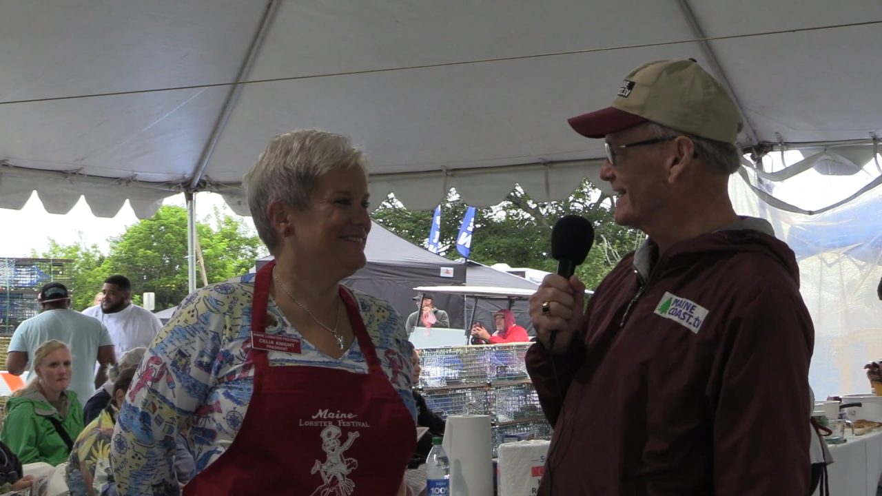 2023 Seafood Cooking Contest at the Maine Lobster Festival | Maine Coast TV